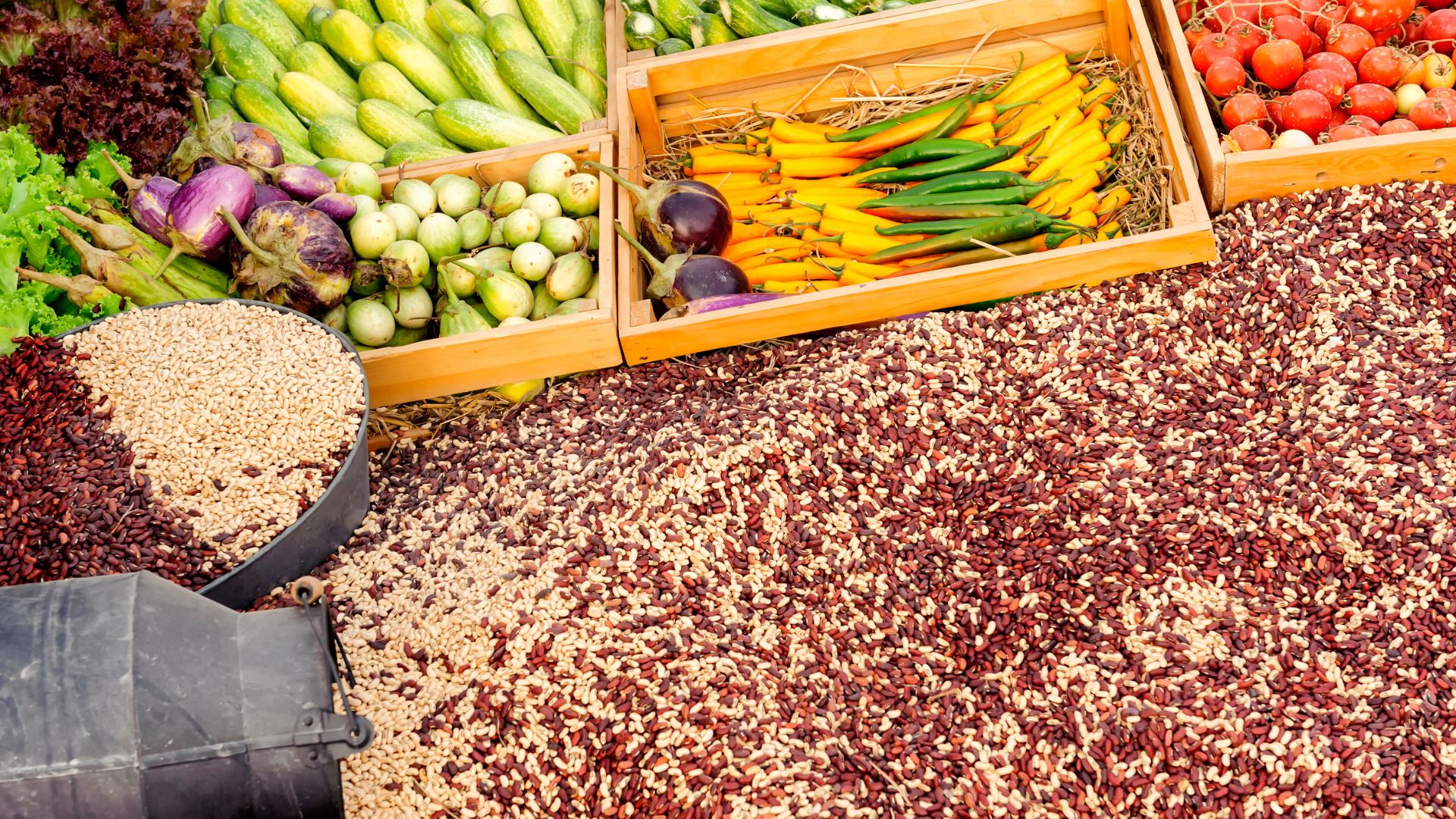 Home - Best Gardening and plant supplies in Malaysia